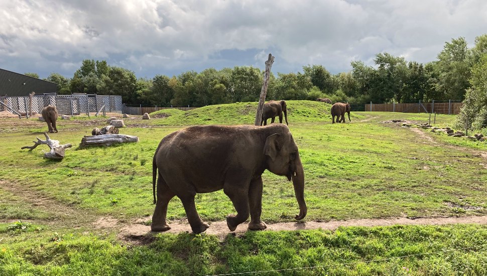 Blackpool Zoo Review Tickets Hours Blackpool Zoo Review Tickets Hours